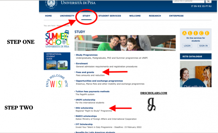 DSU Scholarship 2024-2025 / Study in Italy - DR SCHOLARS