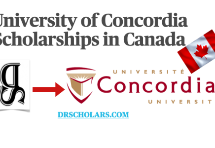 DSU Scholarship 2026-2027 / Study in Italy - DR SCHOLARS