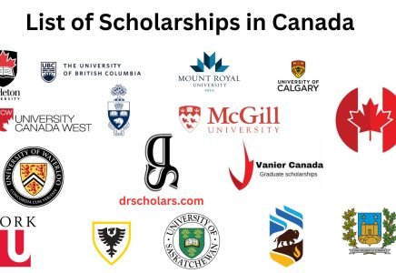 DSU Scholarship 2023-2024 / Study in Italy - DR SCHOLARS